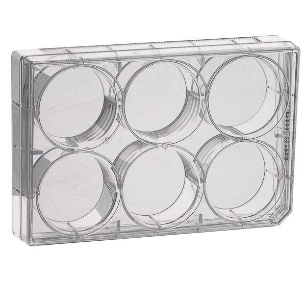 Culture multiwell plates, treated, sterile - Blanc-Labo SA